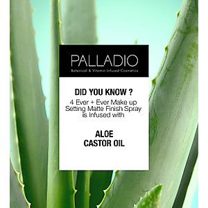 Palladio 4 Ever and Ever Make Up Setting Spray, Longlasting, Instantly Sets and Secures Makeup for All Day Wear (Matte Finish), 100 ml