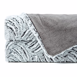 Chanasya Soft Textured Black White Faux Frost Tip Fur and Velvety Mink Throw Blanket - Cozy Blanket for Sofa Chair Couch Bed and Living Room - Silky Royal Luxurious Blanket (50x65 Inches) White