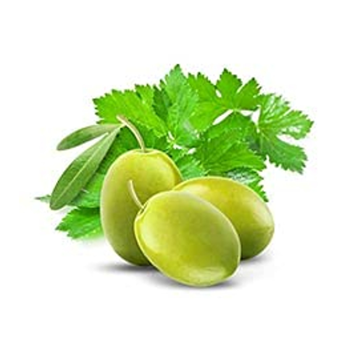 Cucina Coriander and Olive Tree 33.8 oz Purifying Hand Wash Refill