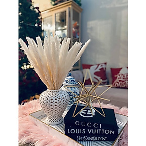 Livmore White Pampas Grass 35 Pcs, 19 inches/48cm Fluffy Natural Dried for Boho Wedding Centerpieces, Photography and Home Decor, Flower Arrangement Vase Fillers ,Kitchen and Garden Decorations