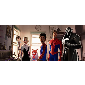 Spider-Man: Into The Spider-Verse 4K ULTRA HD [4K UHD]