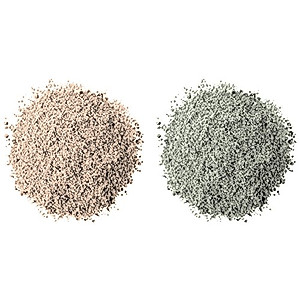 Prestige Cosmetics Prestige Let Loose Duo Shimmering Shadow Dust - Enchanted Garden 1.2 G, Enchanted Garden, 0.04 Ounce