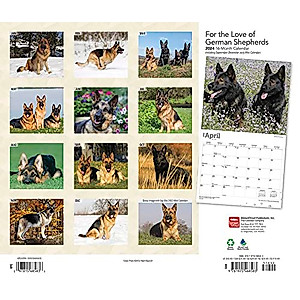 For the Love of German Shepherds | 2024 14 x 24 Inch Monthly Deluxe Wall Calendar | Foil Stamped Cover | BrownTrout | Animal Dog Breeds