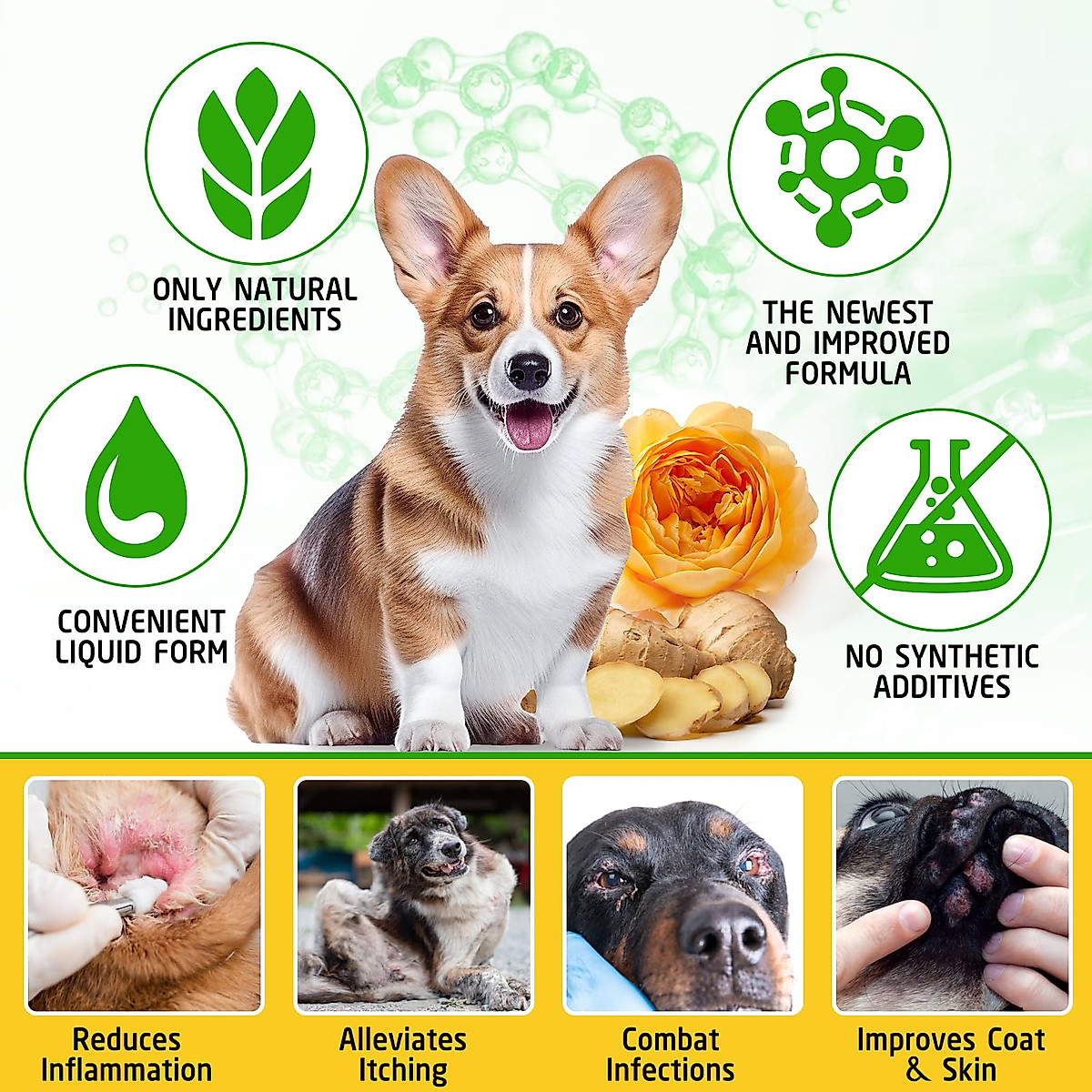 Natural Yeast Infection Treatment for Dogs - Helps to Support Itch Relief - Inflammation Relief & More - Dog Yeast Infection Treatment - Dog Ear Infection Treatment - Dog Allergy | 2 Oz