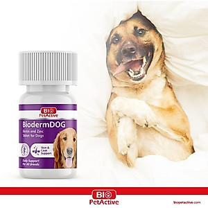 Bio Pet Active BiodermDOG 0.5 Zinc and Biotin Tablets for Dogs, Immune System, Skin, Coat and Nail Support for Dogs, 1.32 oz, 75 Chewable Tablets