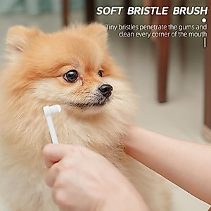 KALIONE 3Pcs Soft Cat Toothbrush Soft Bristle Dog Toothbrushes Nano Pet Dental Care Oral Hygiene Toothbrush for Sensitive Pet Teeth Gums, Puppy Kitten Toothbrush