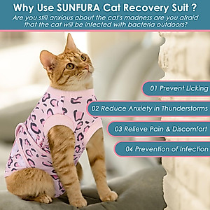 SUNFURA Cat Recovery Suit, Cat Surgery Recovery Suit Female Kitten Onesie for Cats After Surgery, Cat Neuter Recovery Suit Anti Licking, E-Collar Alternative Cat Surgical Recovery Suit, Pink M