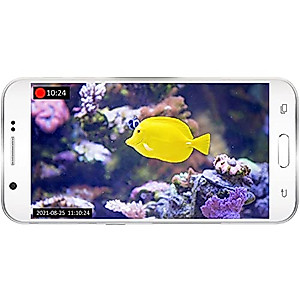 Aqua Jazz [AquaJazzView10] 1080P WiFi Camera Indoor, Pet Cam, Aquarium, Reef, Coral, Fish Monitor Cam, Mobile App, Wireless IP Camera, Hidden Camera, Spy Camera, white