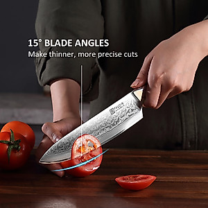 PAUDIN Damascus Chef Knife, 8 Inch Kitchen Knife, 67 Layers Damascus Steel Knife Japanese VG10 Core, Professional Chefs Knife with Ergonomic G10 Handle