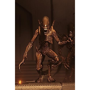 NECA Aliens - 7" Scale Action Figure - Series 14 - Alien Resurrection Warrior
