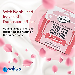 Bulgarian Yogurt Starter Culture Natural Probiotic Yogurt Culture Starter Homemade Yoghurt Starter 10 Liters Lactobacillus bulgaricus (Rose)