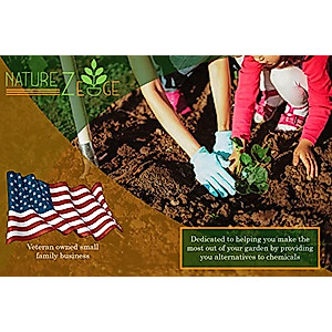 Hot Pepper Seeds for Planting, Cayenne, Hungarian Yellow, Jalapeno, Serrano, Habanero Orange, Heirloom Pepper Seeds Variety Pack, NonGMO