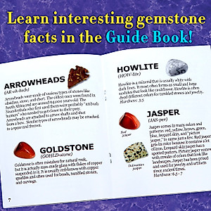 DANCING BEAR Gem Dig Kit - Excavate 16 Gems & Crystals Including Arrowheads, Quartz, Amethyst - STEM Education Gift Set for Kids