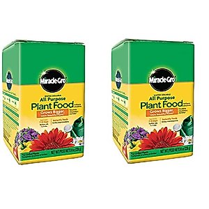 Water Soluble All Purpose Plant Food, 8 oz