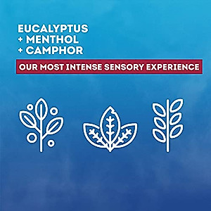 Vicks NyQuil Severe, Nighttime Relief of Cough, Cold & Flu Relief, Sore Throat, 2- 12 FL OZ Bottles & Vicks VapoShower Plus, Shower Bomb Tablets, Strong Soothing Non-Medicated Vapors, 12 Tablets,