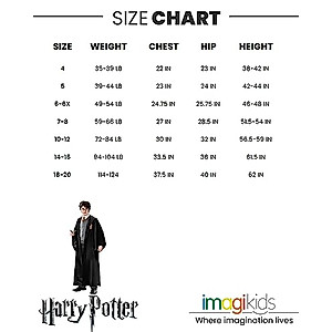 Harry Potter Big Girls Short Sleeve Dress Maroon 18-20