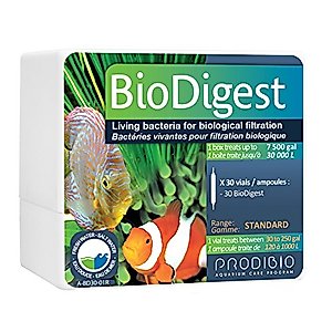 Prodibio Bio Digest, Nitrifying Bacteria, Fresh and Salt Water, 30/1 mL vials, 30 gal and up