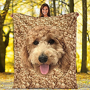 3D Cute Goldendoodle Doodle Funny Dog Mom Gift Premium Quality Sherpa Fleece Throw Blanket 3D Printed Warm Fluffy Cozy Soft Tv Bed Couch Comfy Microfiber Velvet Plush