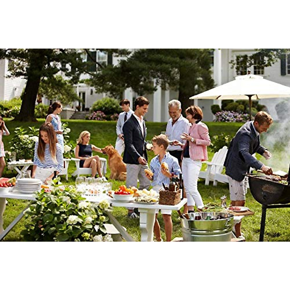 20-1/2'' Grill Burner Tube Replacement Part #69956 for Weber Q 200, Q220, 396000, 396001, 396002, 566002, 53060001, 54060001(1 Pack P-Type)