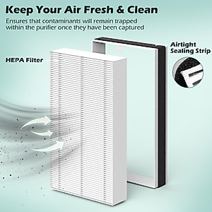 F1 Replacement Filter Compatible with Filtrete 3M C01 T02 Room Air Cleaner Purifer FAP-C01-F1,FAP-T02-F1, FAP-01BA-G1, FAP-T02WA-G1 ＆ FAP-ST02N, Part#FAPF-F1-2P, 2packs