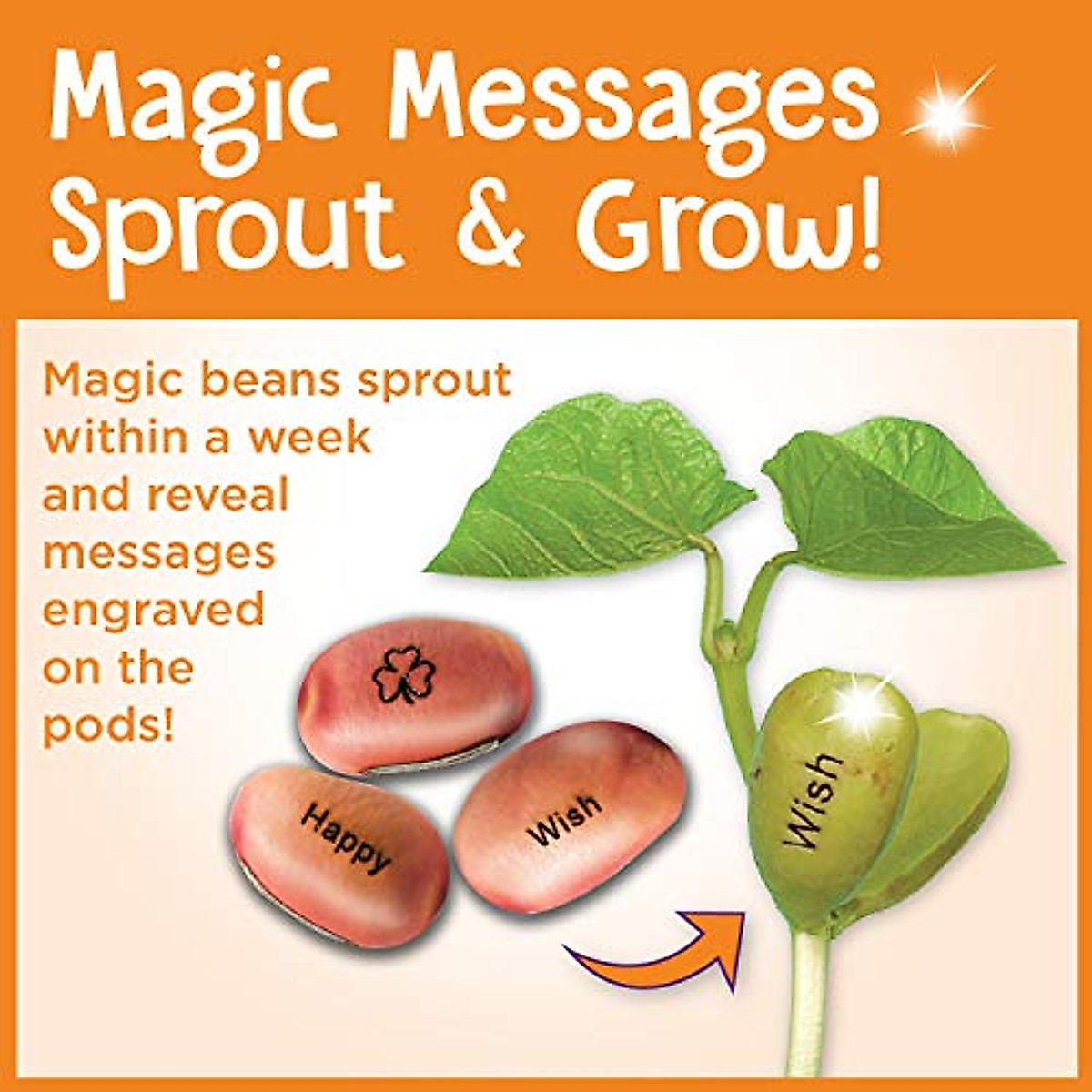 Creativity for Kids Magic Bean Garden, Reveal and Grow Magic Messages - Arts and Crafts for Girls and Boys, Kids Science Kit Ages 5-8+, Unique Gift for Kids