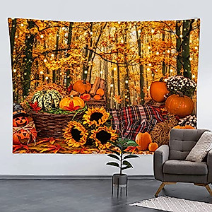 Thanksgiving Day Backdrop Birthday Autumn Maple Forest Leaves Pumpkin Friendsgiving Background Thanksgiving Party Gold Yellow DLH0D350UU 0