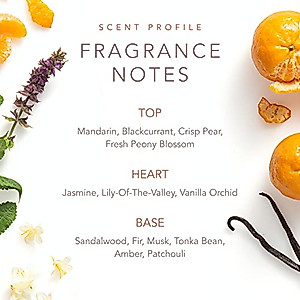 Dolly Parton EDT - Perfume for Women - Scent from Above - 1.0 Fl Oz