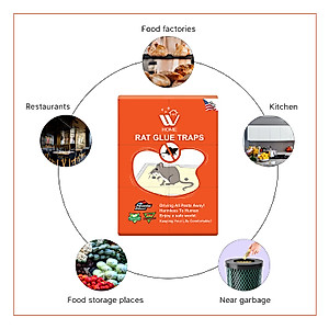 WBM Home Rat Pads, Enhanced Stickiness, Equipped with Protective Cover Glue Traps, 12 Count, Small