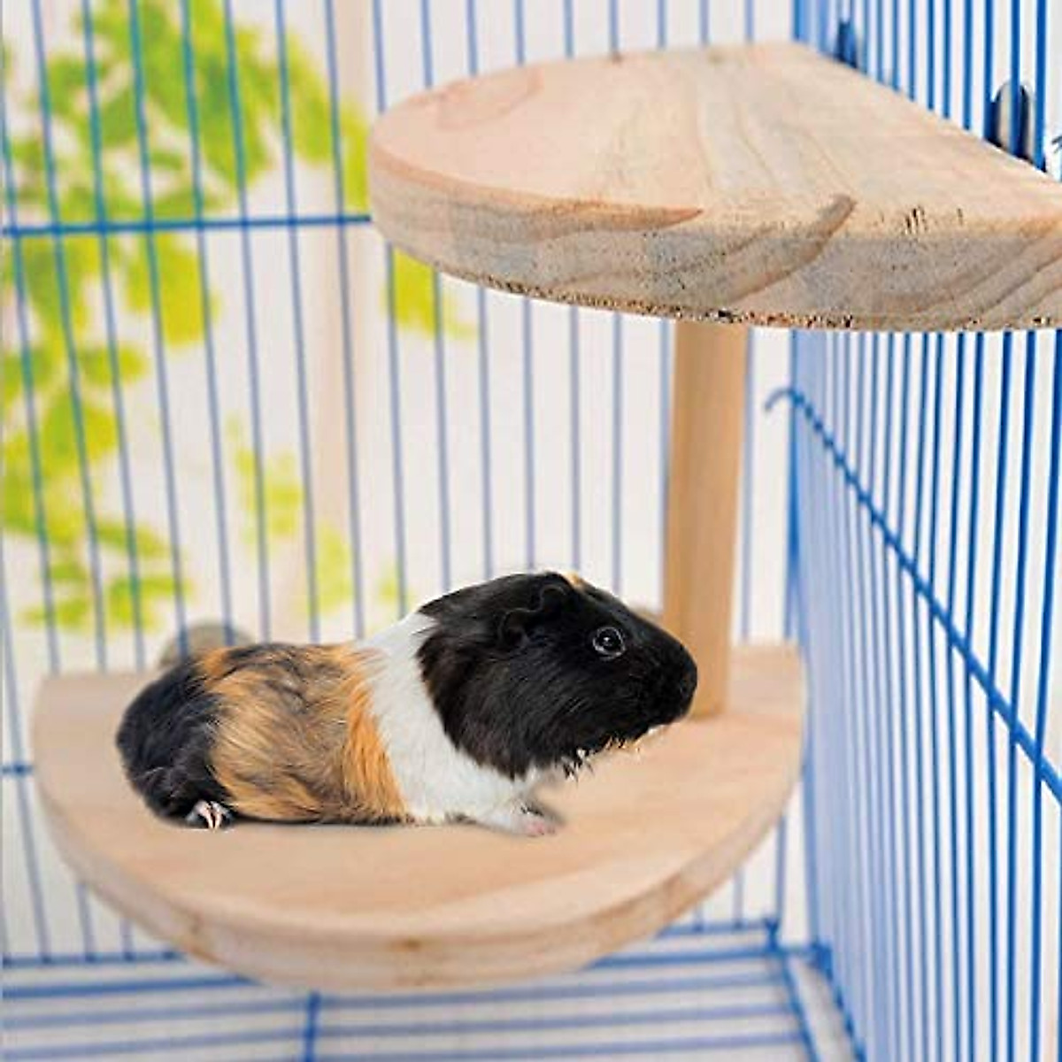 Hamiledyi Squirrel Gerbil Dwarf Wooden Platform, 2-Level of Natural Hamster Standing Platform Chinchilla Cage Accessories, Birds Perch Parrots Activity Playground