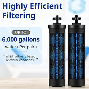 2 Pack Black Water Filter Replacement Parts Compatible with Big Berkey Gravity Filtration System, Compatible with BB9-2 Water Filter