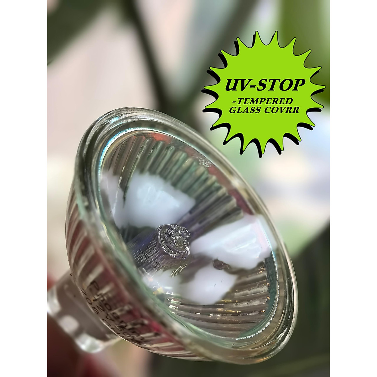 Phoenimax 6PCs MR16 12V 50W 800LM Halogen Bulb GU5.3 EXN Professional Quartz dichroic Reflector UV Stop Tempered Glass Cover dimmable for spot Lights Warm White 3000K