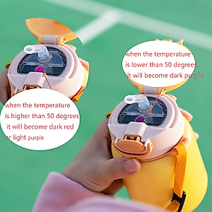 Diller Insulated Water Bottle with Straw, 14 oz Travel Coffee Mug with Straps Mini Stainless Steel Water Bottles with Straw for Kids and Women Keep 12H Piping Hot & 24H Cold (Blue, 14 oz)