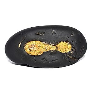 Rudrakshguru Laxmi Narasimha Shaligram - Gandaki River Nepal