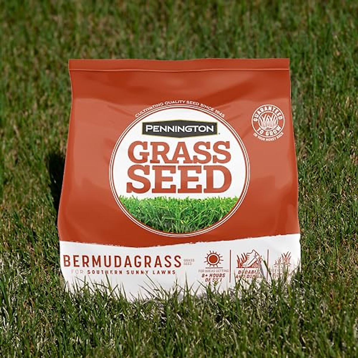 Pennington Bermudagrass Grass Seed 15 lb
