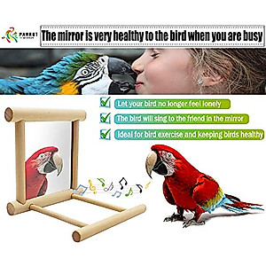 Blessed family Bird Parakeet Mirror for Cage,Parrot Perch Stand,Wooden Hummingbird Swing Toy,Parakeet Accessories for Cockatiels Conure Finch Lovebird Canary African Grey Macaw
