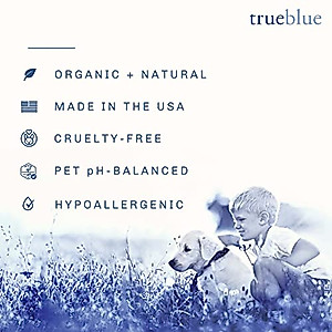 TrueBlue Parsley & Peppermint Fast and Fresh Dog Dental Swipes – Pre-Moistened Teeth Cleaning Pads - Non-Toxic, All-Natural Tooth Cleansing– 50 Count