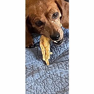 4 Leg Delights Dehydrated Chicken feet for Dogs & Pets (20 Pack) Declawed No Nails USA made. 100% All-natural single ingredient.