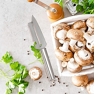 BESTONZON Multifunction Paring Knife Stainless Steel Peeler Gourd Grater Parer for Vegetable Fruit