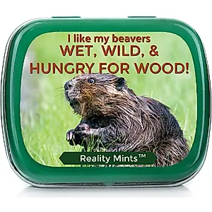 Funny Statement Mints - Breath Fresheners for Adults - Mens Gag Gifts, Stocking Stuffers, Candy Basket Fillers - Sugar-Free - Pocket-Size Metal Tins (Beaver)