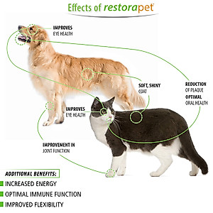 RestoraPet 1-Pack Dog & Cat Beef Liquid Multivitamin | Dog Arthritis Pain Relief | Hip & Joint Vitamins for Dogs - Anti Inflammatory Supplement for Dogs & Cats | Organic & Non-GMO, Vet Approved