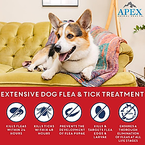 Apex Plus Flea and Tick Prevention for Dogs | X-Large (89-132 lbs) | 3-Month Supply | Dog Flea and Tick Treatment | 24-Hour Activation, Waterproof, 30-Day Protection