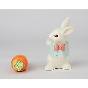 Fine Ceramic Spring Easter Buny carries Carrot Salt & Pepper Shakers Set, 3.75" H