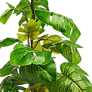 imagitarium Stand Araceae Plant Terrarium Decor, Large