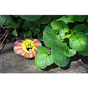 Creativity for Kids Hide & Seek Rock Painting Kit - Arts & Crafts For Kids - Includes Rocks & Waterproof Paint