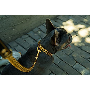Bully Chainz Hermes Small Gold Cuban Link Metal Dog Chain Collar with Buckle Design - 18K Cuban Link Chain Strong Heavy Duty Chew Proof Stainless Steel 15MM Wide Chain - Puppy Collar for Small Dogs