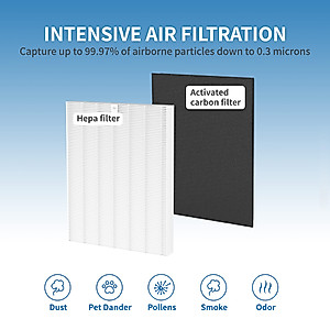 Filteridge C545 Replacement Filter, Compatible with Winix C545, Winix S Filter 1712-0096-00 Air Purifier, H13 True HepaFilter Replacement, 1 H13 HEPA Filter + 4 Activated Carbon Filters
