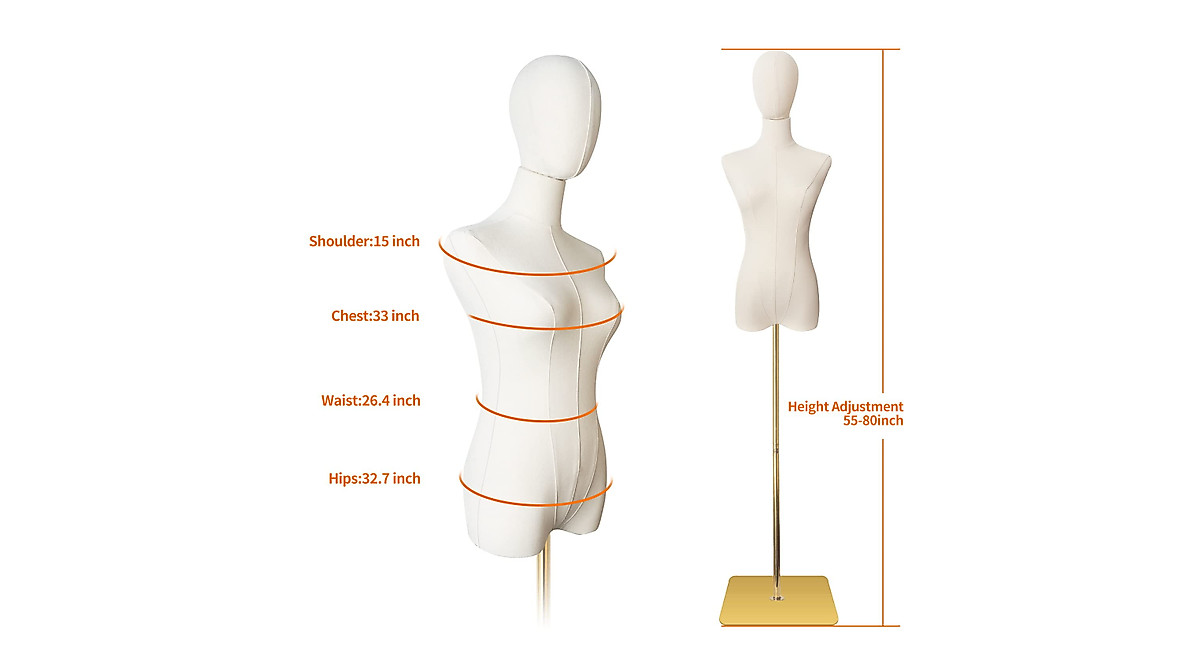 Female Mannequin Torso Dress Form with Gold Stand for Display & Photography