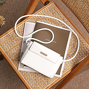 CLUCI Small Crossbody Purses for Women Leather Travel Vacation Cellphone Ladies Fashion Shoulder Bags