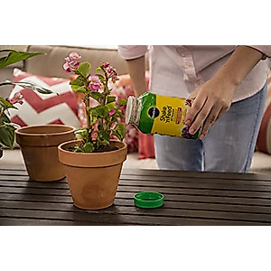 Miracle-Gro Shake 'n Feed All Purpose Continuous Release Plant Food, 1-Pound (Slow Release Plant Fertilizer)