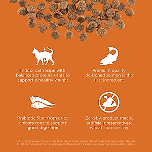 GO! SOLUTIONS Skin + Coat Care - Grain Free Dry Cat Food, 3 lb - Salmon Recipe - Cat Food for All Life Stages - with Probiotics